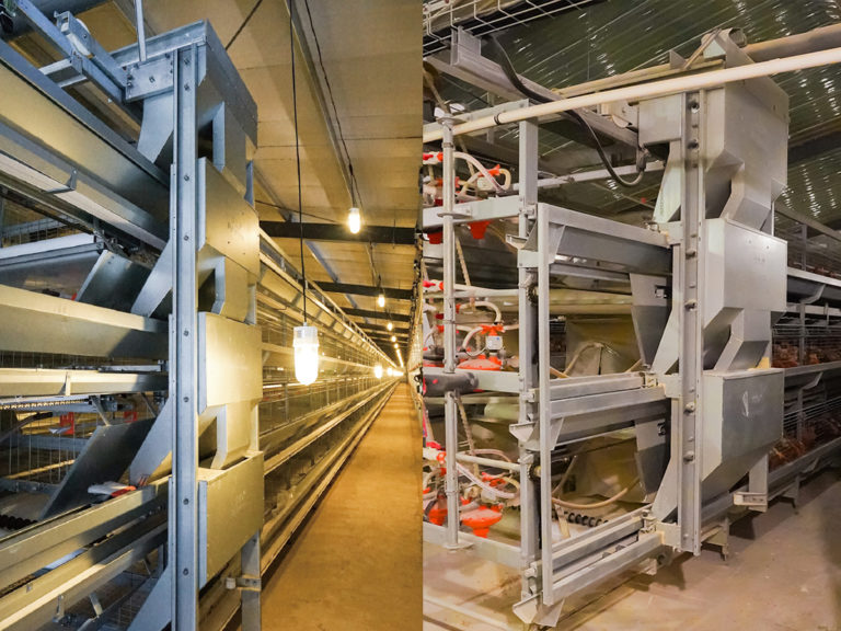 Hopper Feeding System - Wamba Farming Equipment